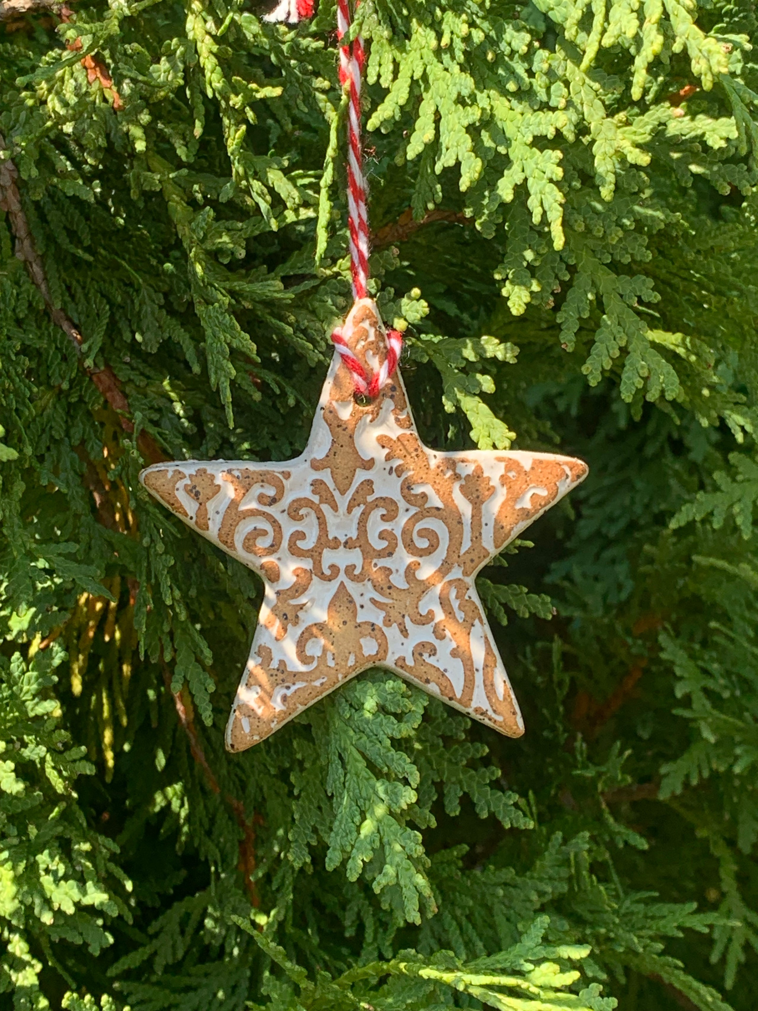 Scrollwork Star Ornament - Jennifer Walker-Flora | A2AC Online Shop